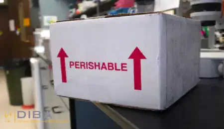 حمل هوایی بار فاسد شدنی